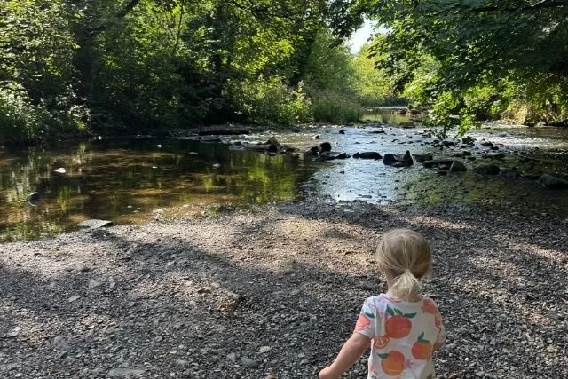 Alyn Waters Country Park | Family Guide — My Mountains and Me