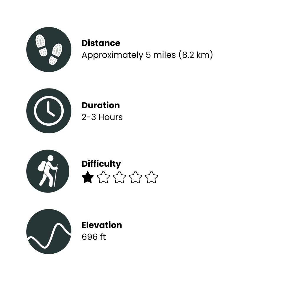 The Ultimate Guide to The Llyn Padarn Walk — My Mountains and Me