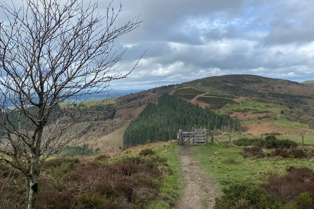 Moel Arthur Circular Walk — My Mountains and Me