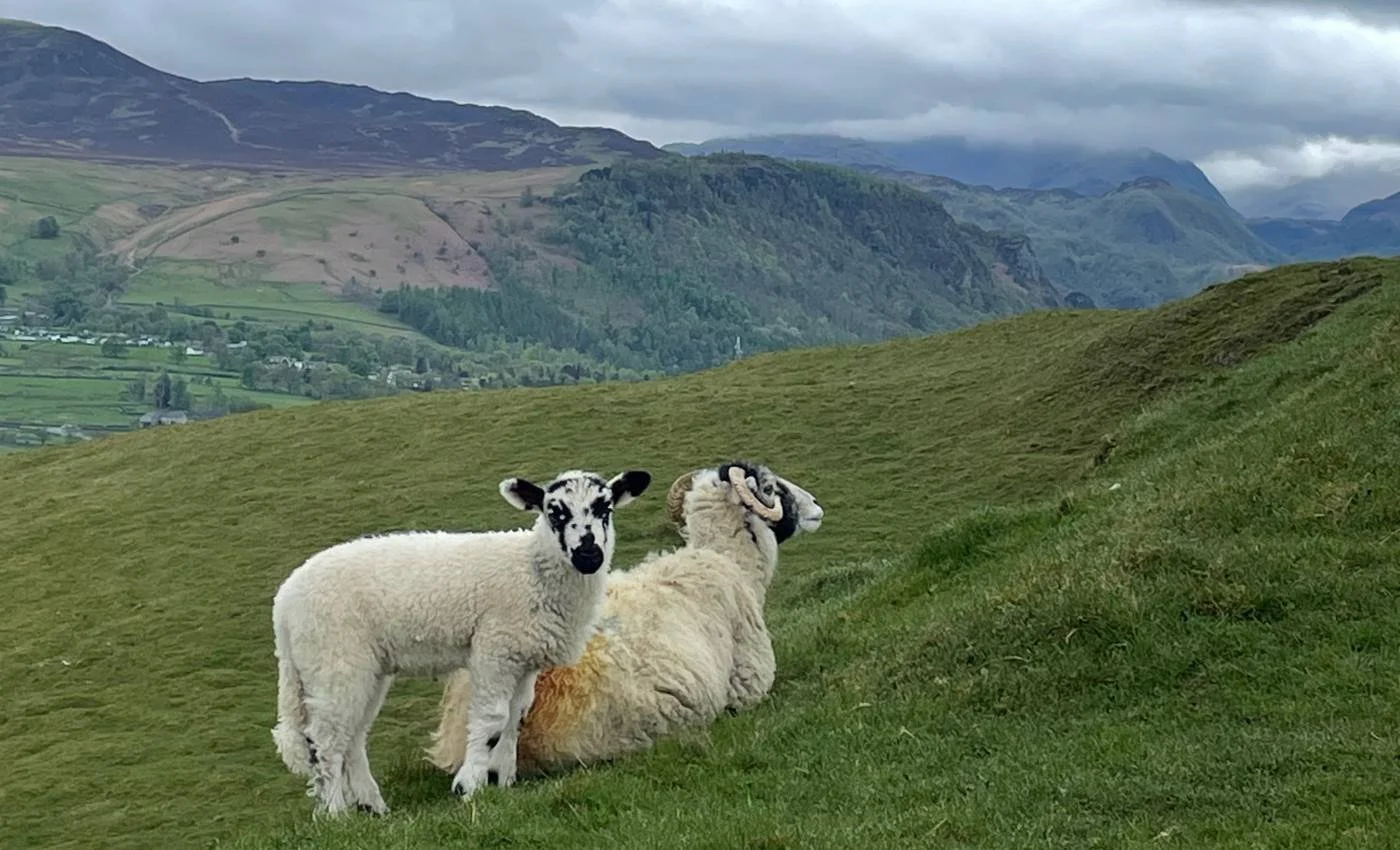 Latrigg Walk | Family Friendly — My Mountains and Me