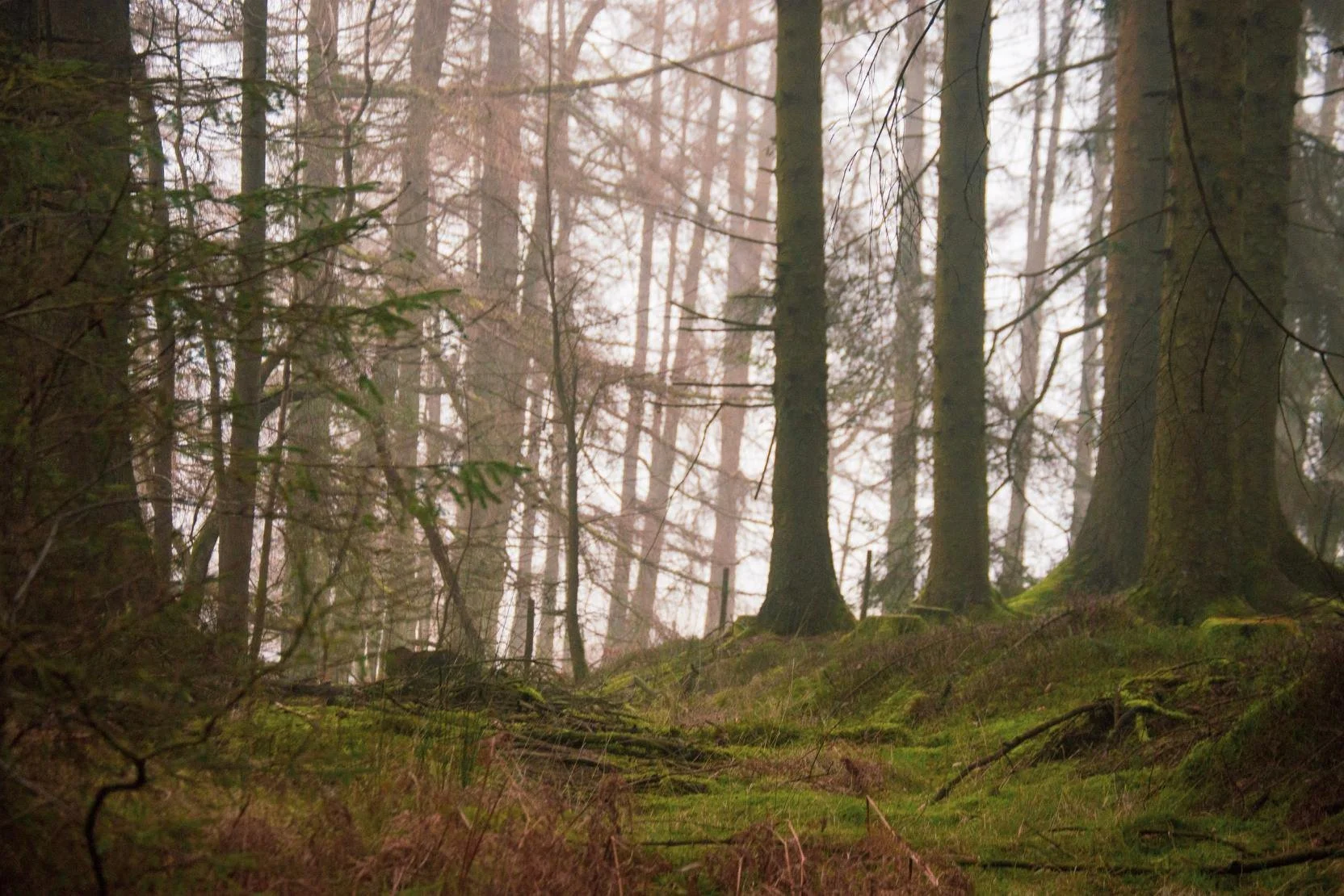 8 Family Walks in The Lake District — My Mountains and Me