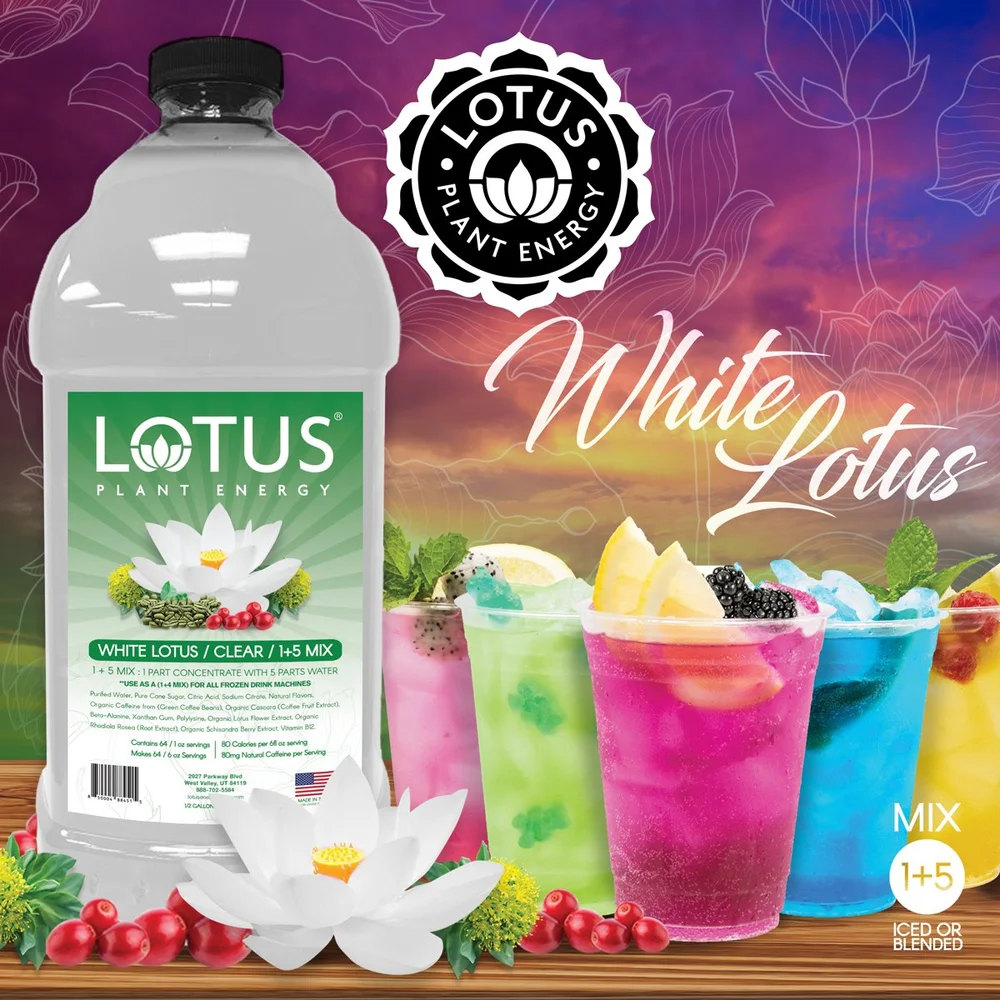 Lotus Energy Drinks | White Lotus Plant Energy Concentrate — BEST NEW ...
