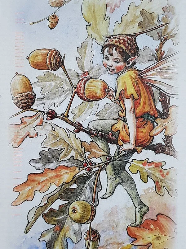 Lucky Acorns — The House of Good Fortune