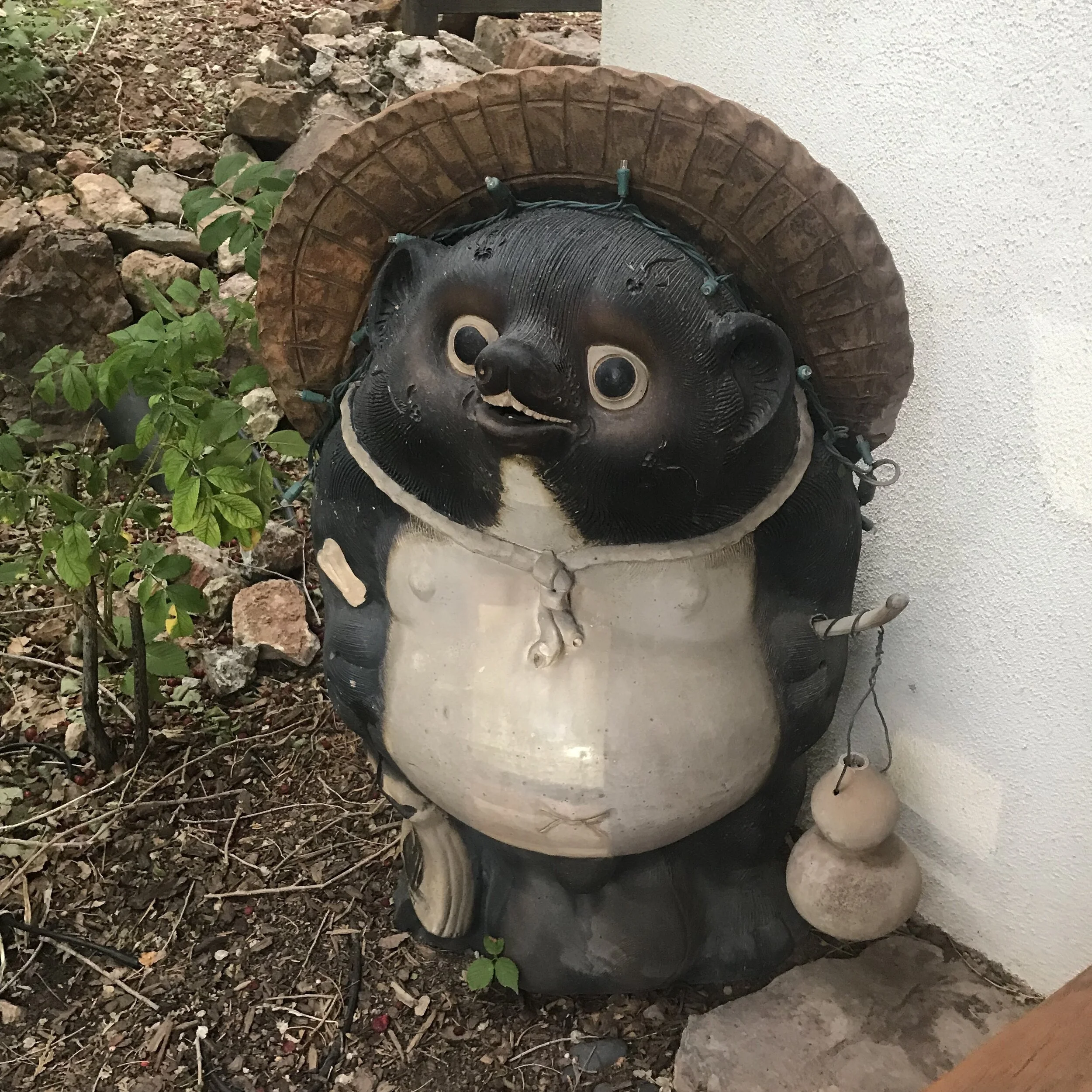 Tanuki, Raccoon Dog Yokai — The House of Good Fortune