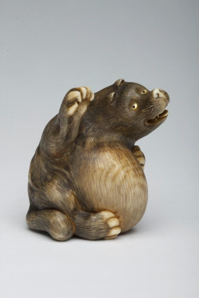 Tanuki, Raccoon Dog Yokai — The House of Good Fortune