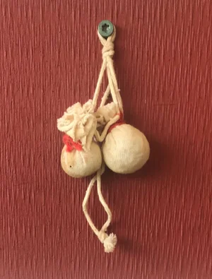 Asafoetida a.k.a Devil’s Dung — The House of Good Fortune