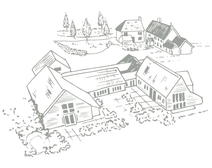 Sketches — Polly Pickle