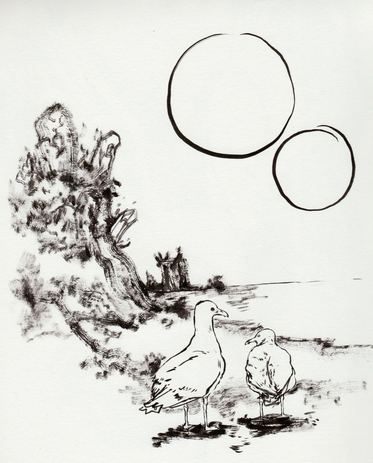 Jonathan Livingston Seagull Sketches