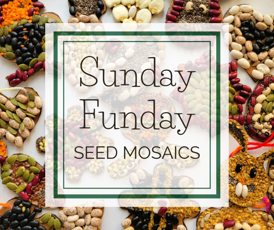 Sunday Funday: Seed Mosaics — Neill-Cochran House Museum