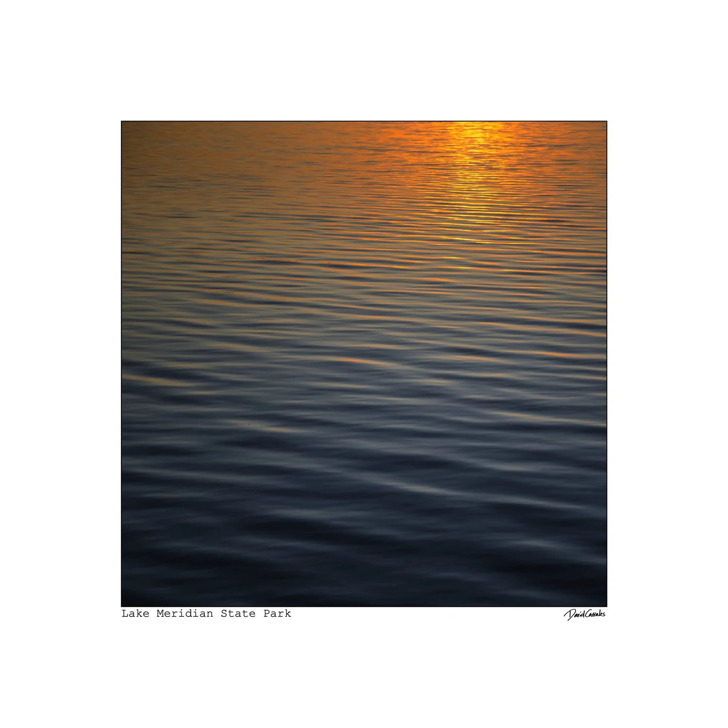 Hope for Spring: Texas Water — Neill-Cochran House Museum