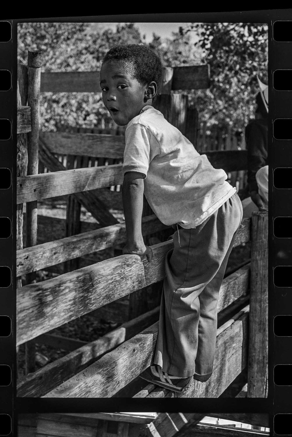 Juneteenth Rodeo — Neill-Cochran House Museum