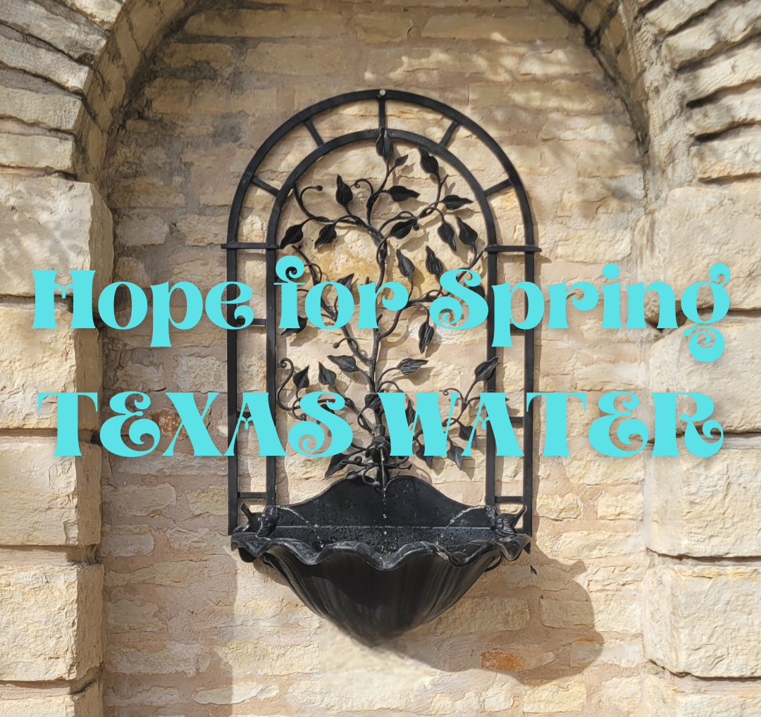 Opening Reception for Hope for Spring: Texas Water — Neill-Cochran ...