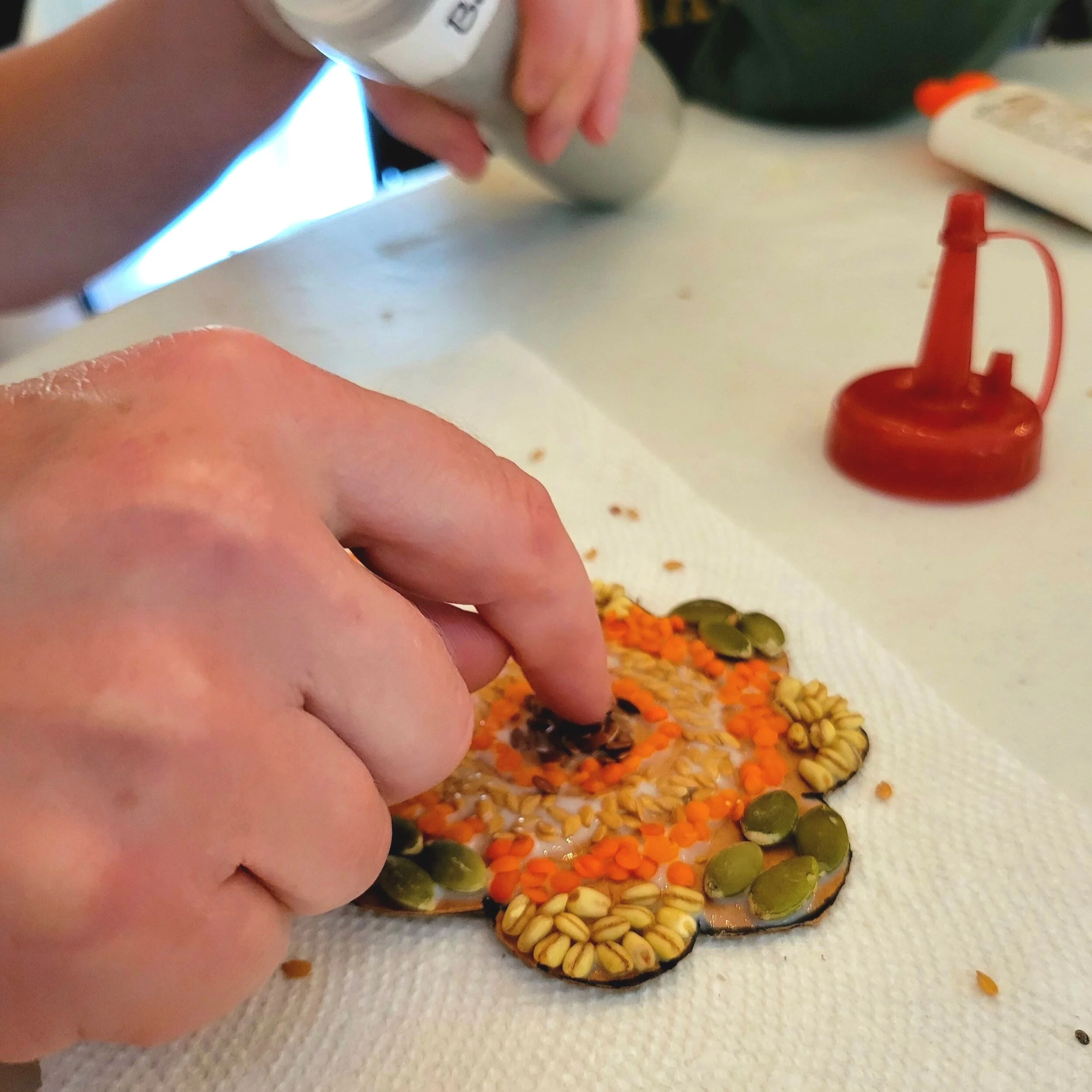Sunday Funday: Seed Mosaics — Neill-Cochran House Museum