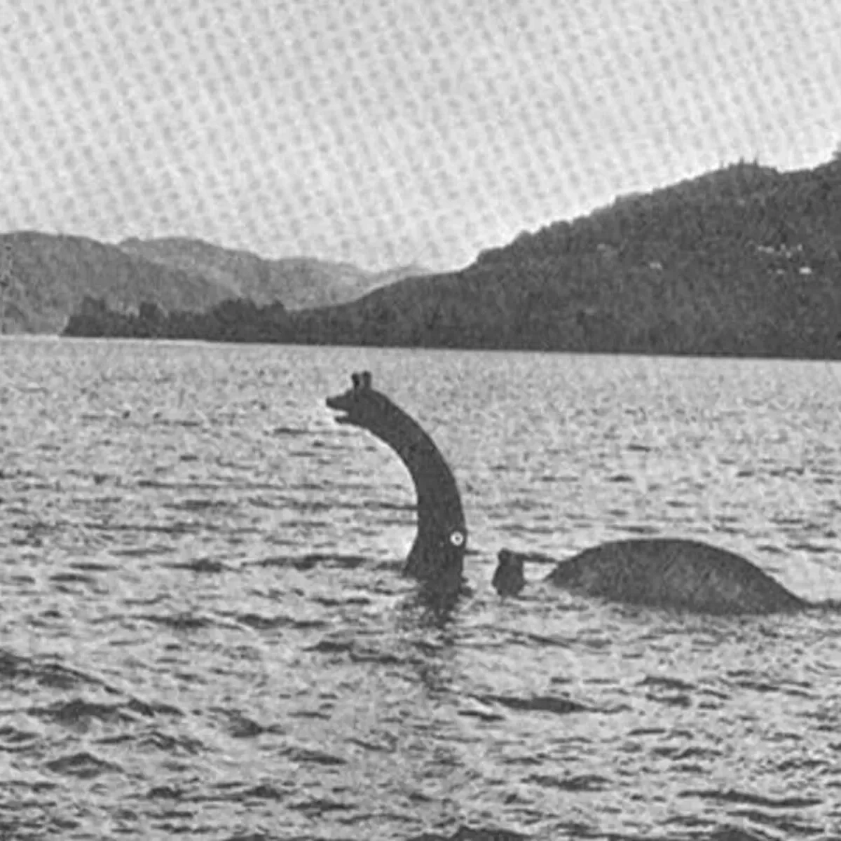 Stories on the Lawn: Monsters — Neill-Cochran House Museum