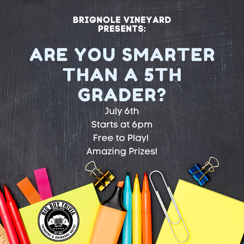 The Best Trivia in CT — Big Boy Trivia & Games