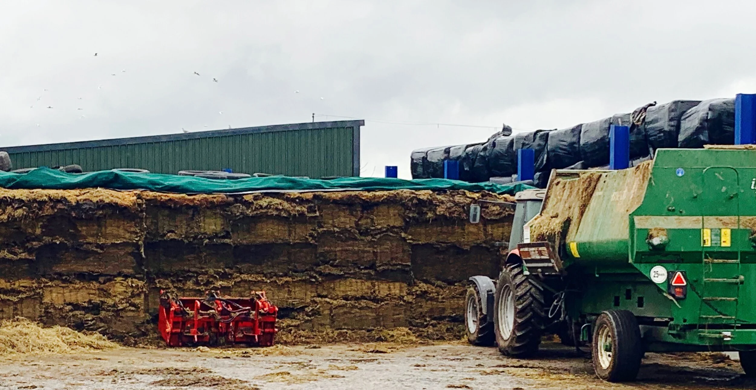 Testing, testing - silage analysis — The Silage Consultant
