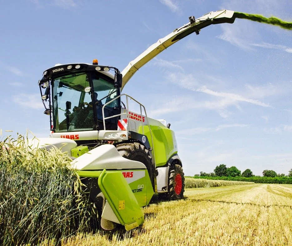 Cutting whole crop silage — The Silage Consultant