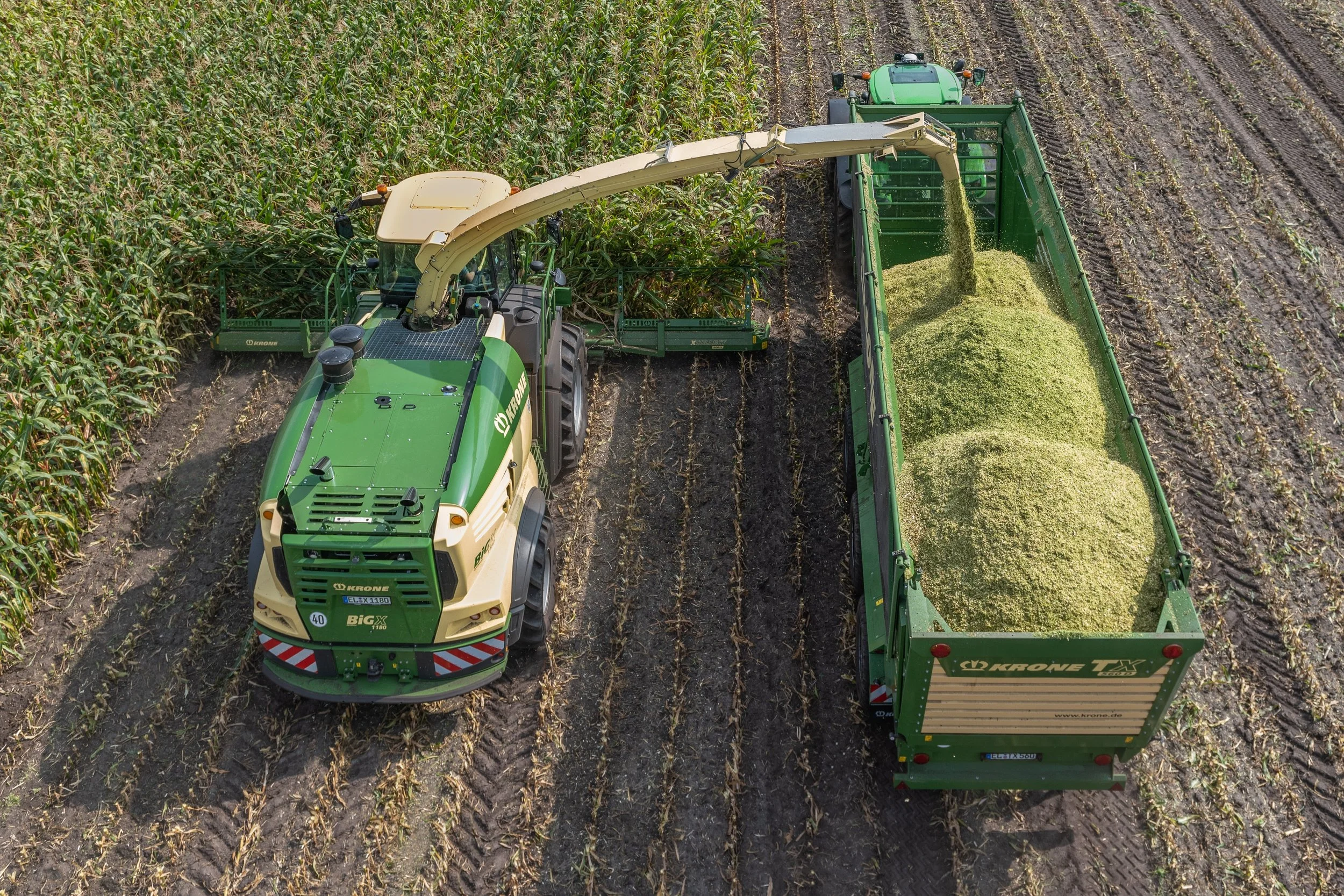 Silage chop length for AD plants — The Silage Consultant