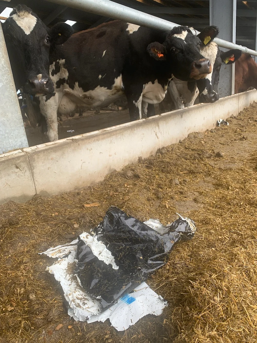 Is bagged silage better silage? — The Silage Consultant