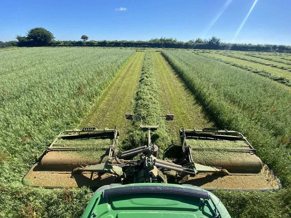 Why and how to make pea silage — The Silage Consultant