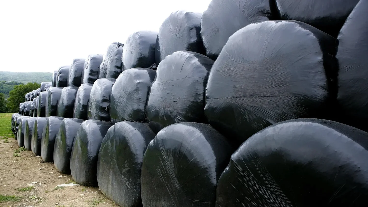Bale silage vs Clamp silage — The Silage Consultant