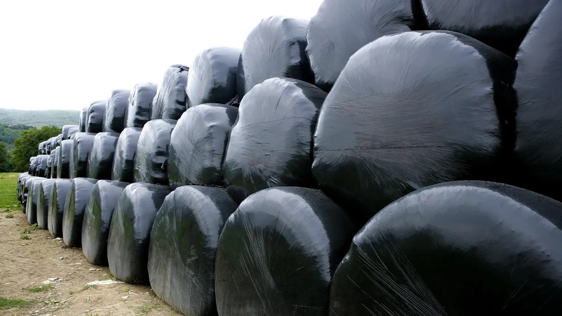 Bale silage vs Clamp silage — The Silage Consultant