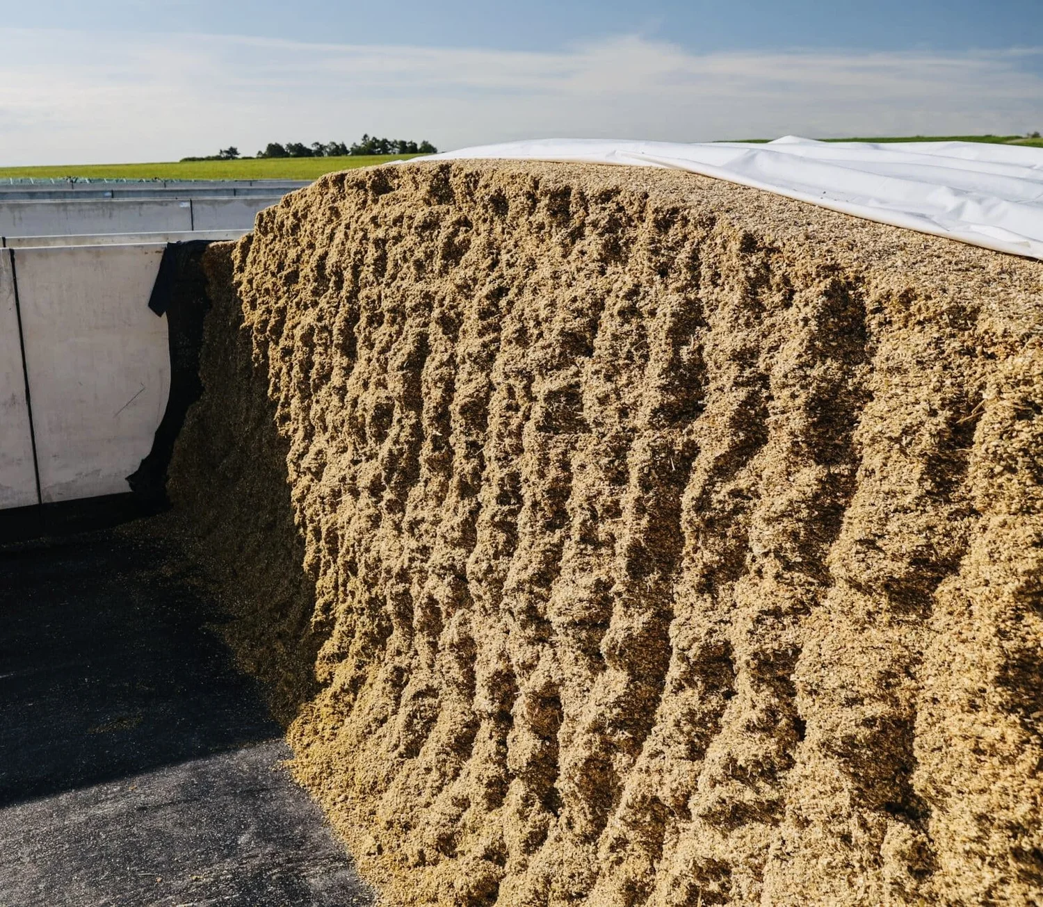 Is it possible to make silage with zero losses? — The Silage Consultant