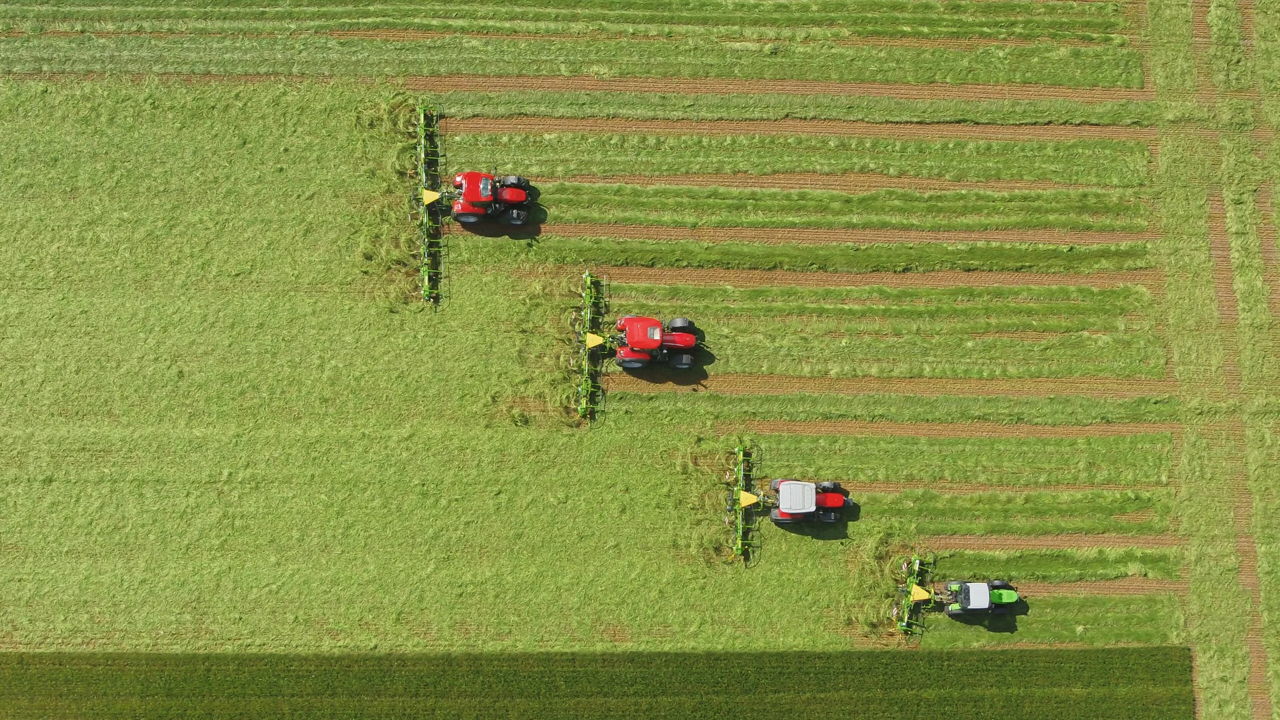 Choosing the right tedder to make good silage — The Silage Consultant
