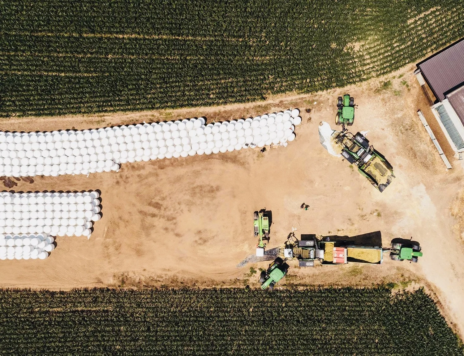 How to bale maize silage — The Silage Consultant