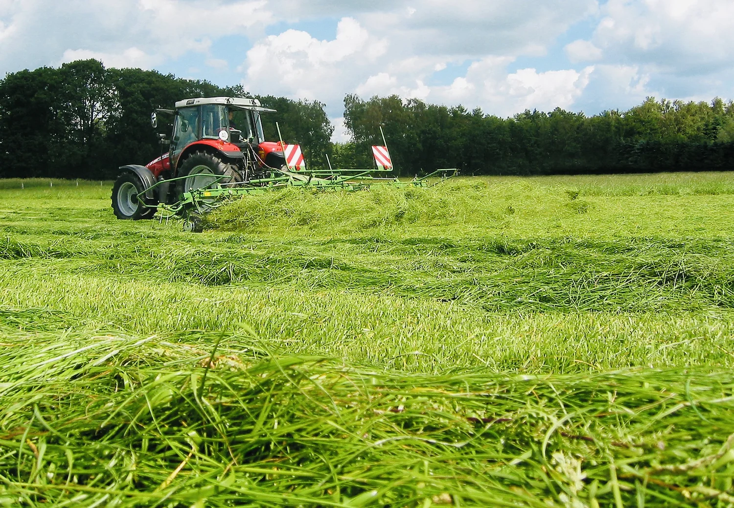 Choosing the right tedder to make good silage — The Silage Consultant