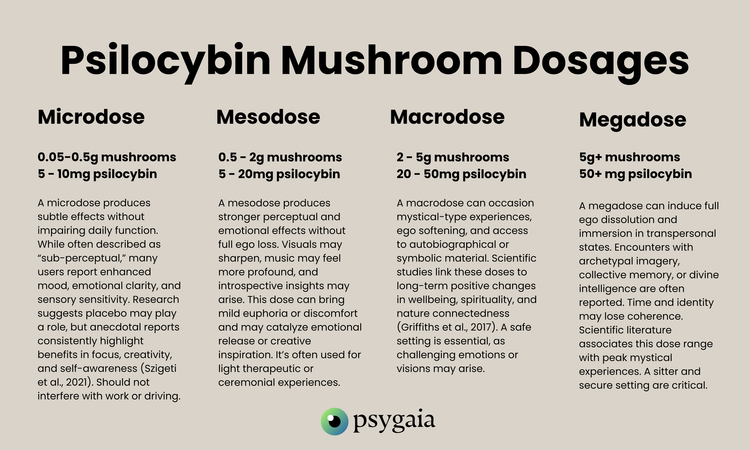 Mushroom Dosage Guide: Psilocybin Doses, Effects, & Safety - Psygaia