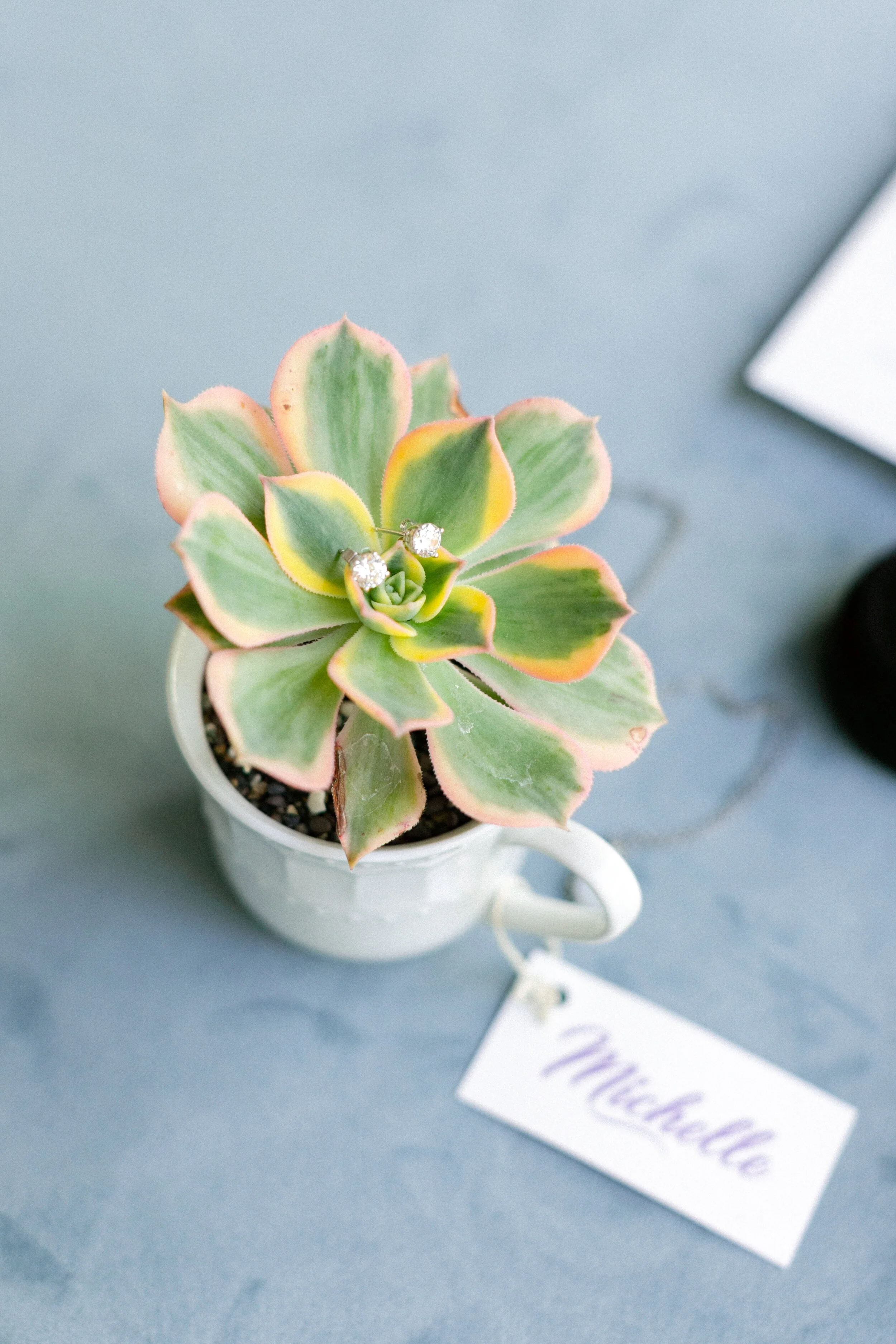 Allison and Michael's Carlton Oaks Golf Course, Santee — Great Woodland ...