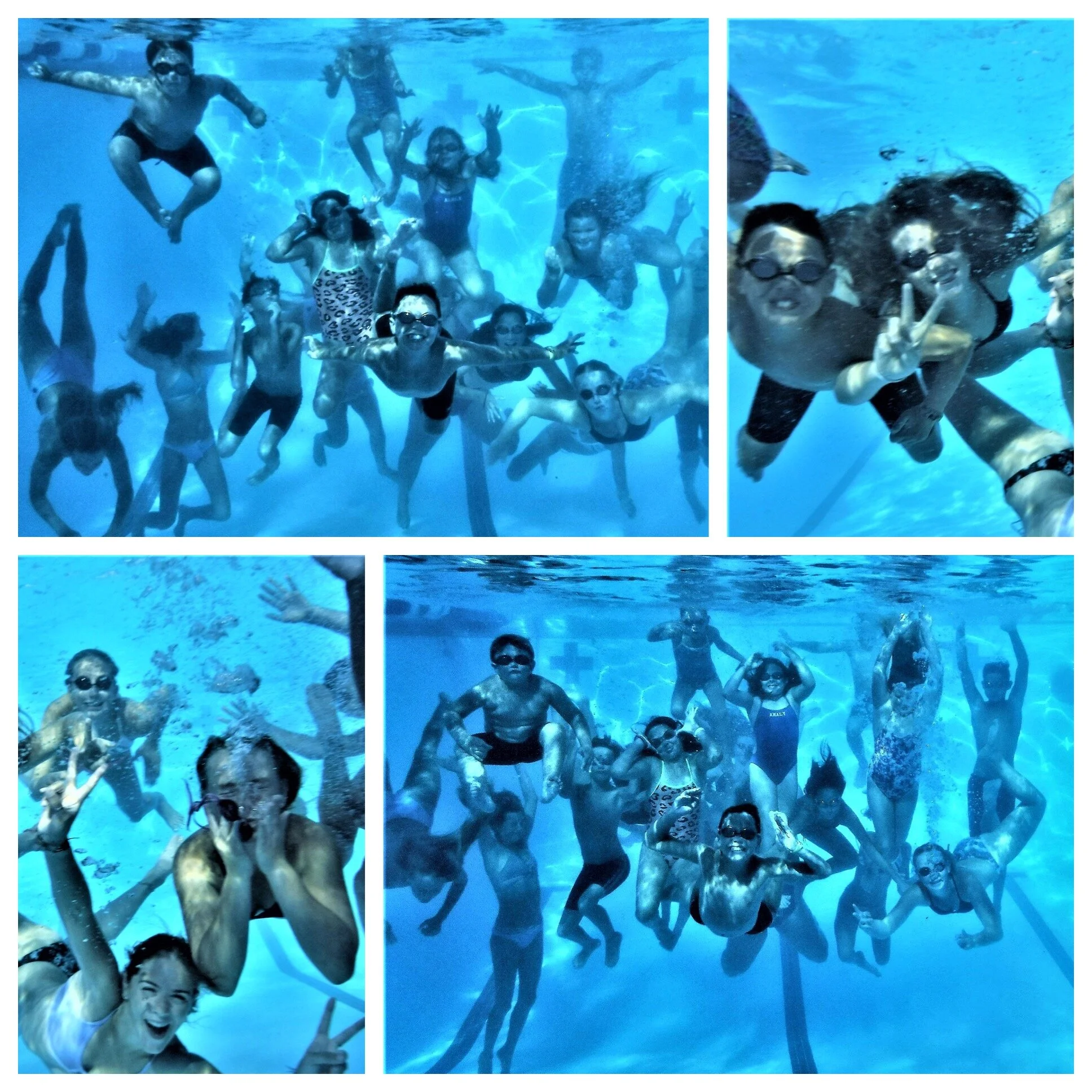 Swim Team — Ives Pool