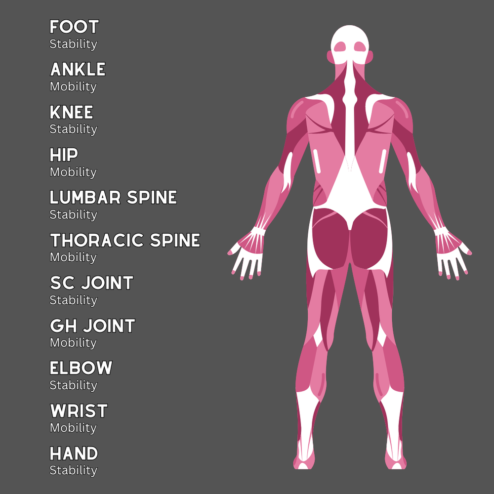 The Joint By Joint Approach and Why It Matters — theLDSP