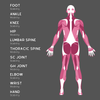 The Joint By Joint Approach and Why It Matters — theLDSP