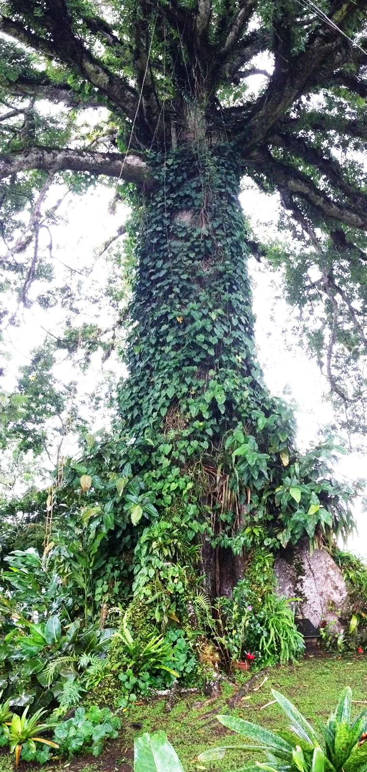 Zen Living | Living a Zen Life