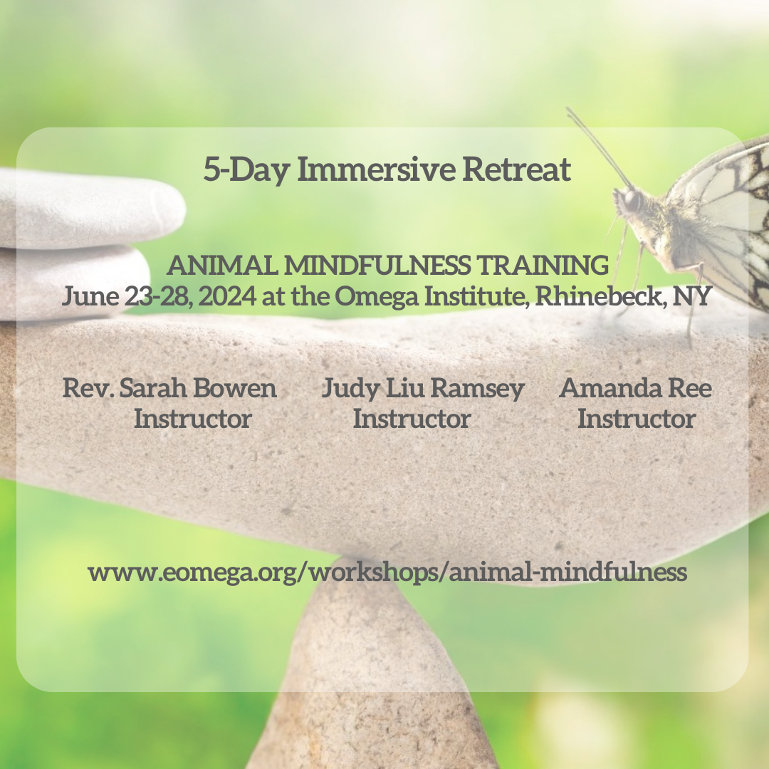 Welcome to the June 2024 Newsletter — Judy Ramsey Heart to Heart Animal ...