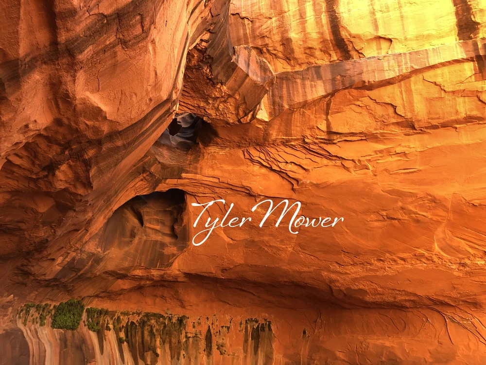 Tyler G. Mower - Historical Author & Creative Artist