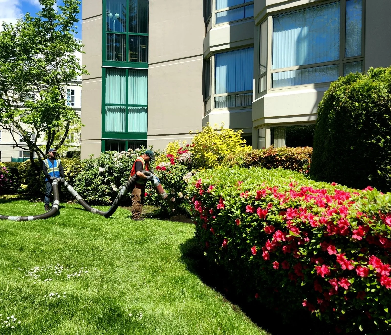 Services & Products — Pacfic Bark Blowers Inc.