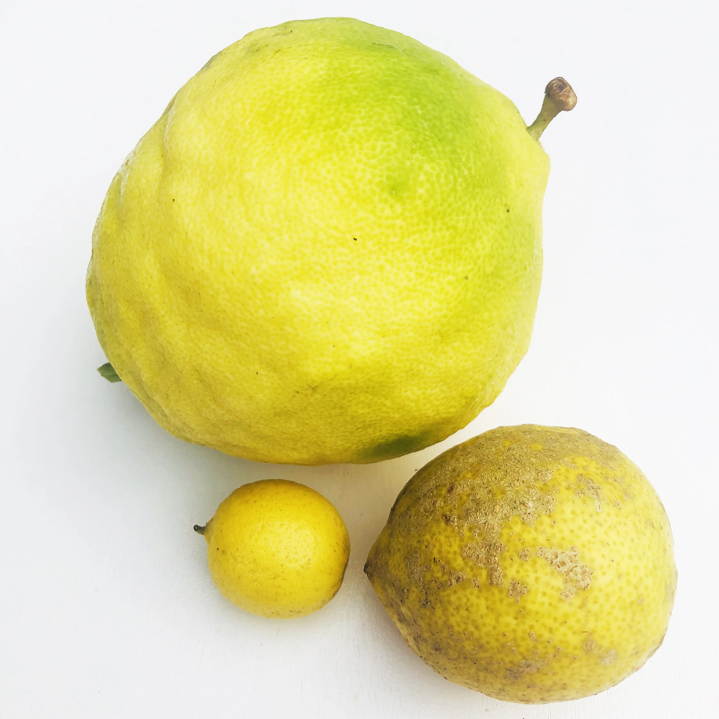 Fruit — Store 2 — High Noon Coffee + Salt River Produce & Preserves