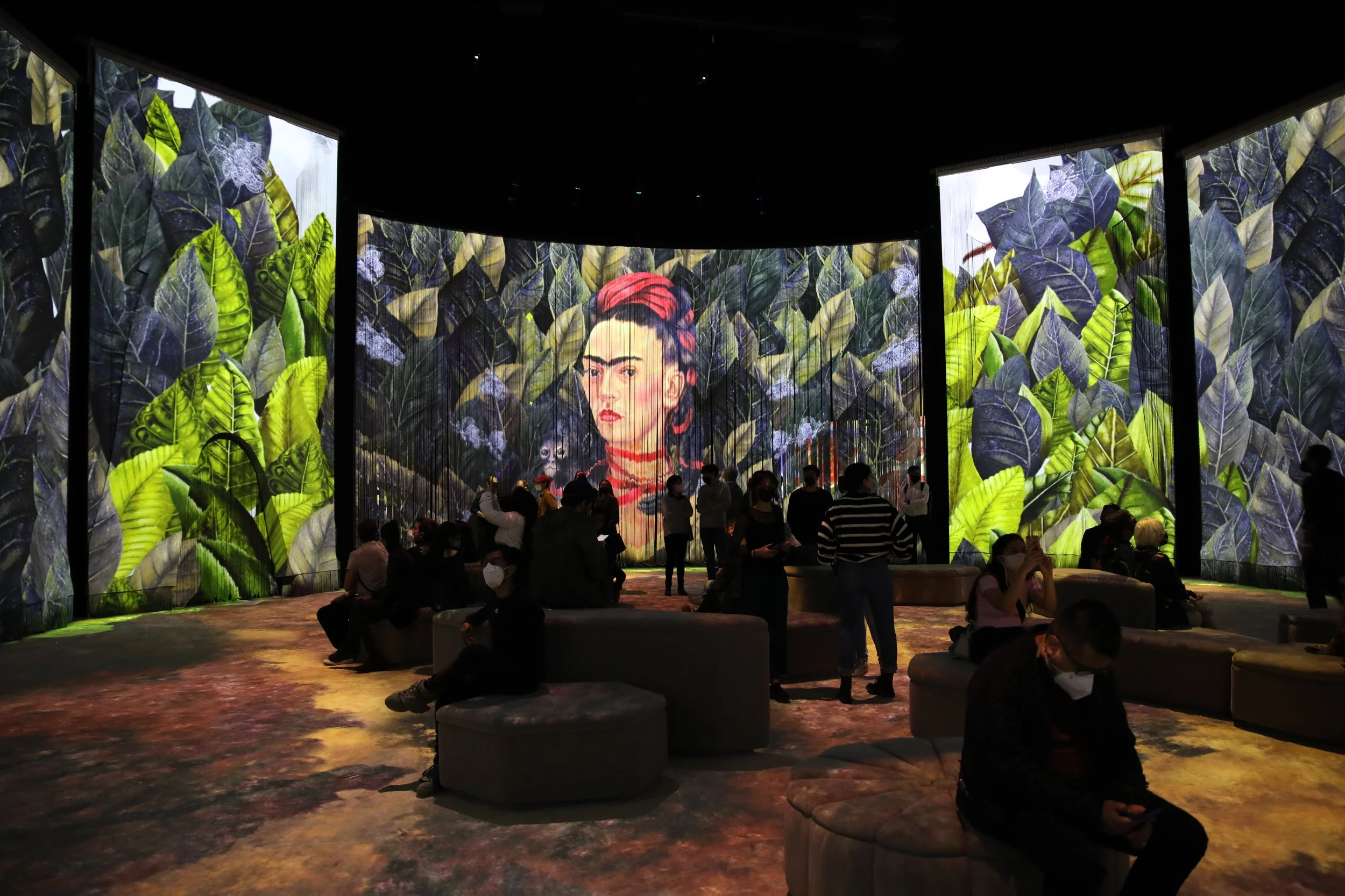 Frida Immersive — SudoMagic