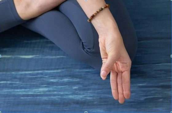 6 Powerful Hand Mudras for Meditation: Powerful Hand Gestures Included ...