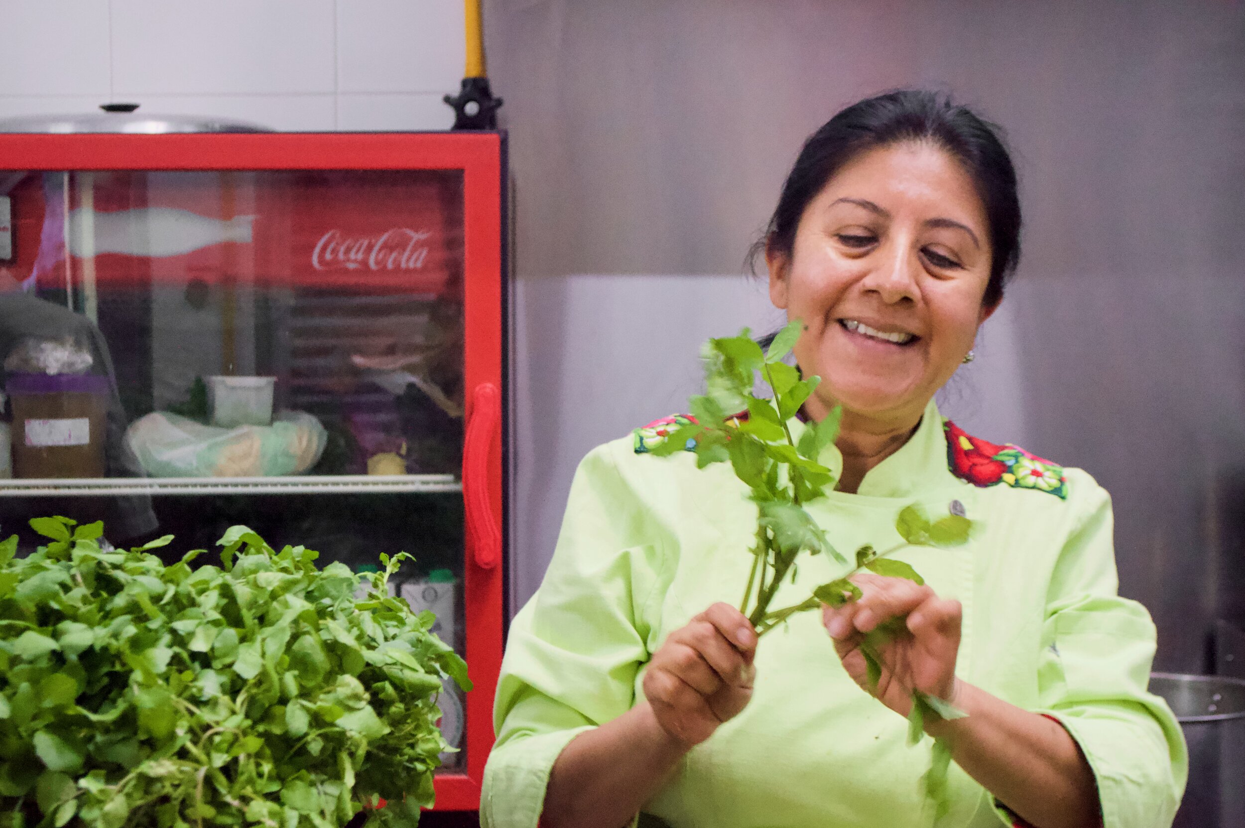 Cooks in their Kitchen: A quest to solve a Mexican Culinary Paradox