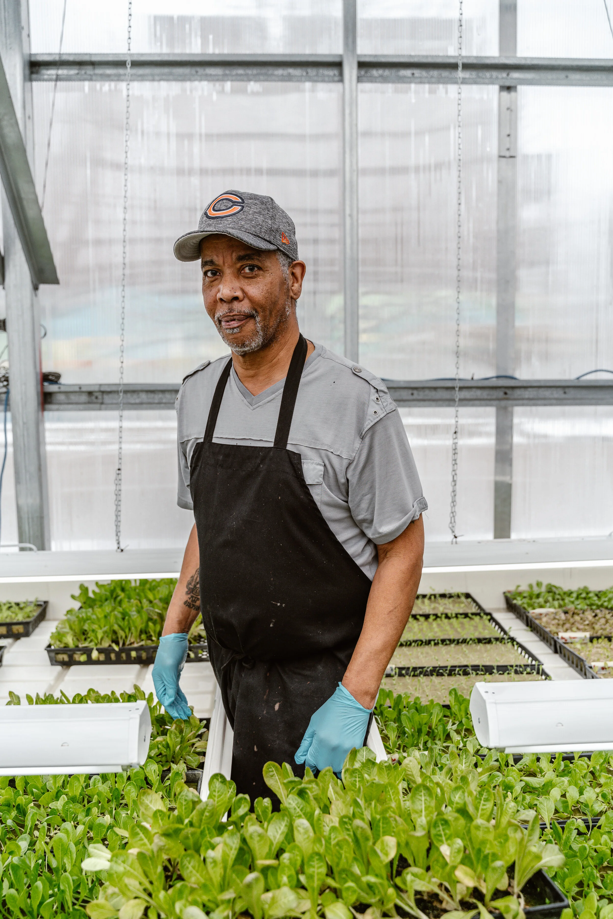 Herban Produce | Chicago's Premiere Urban Farm