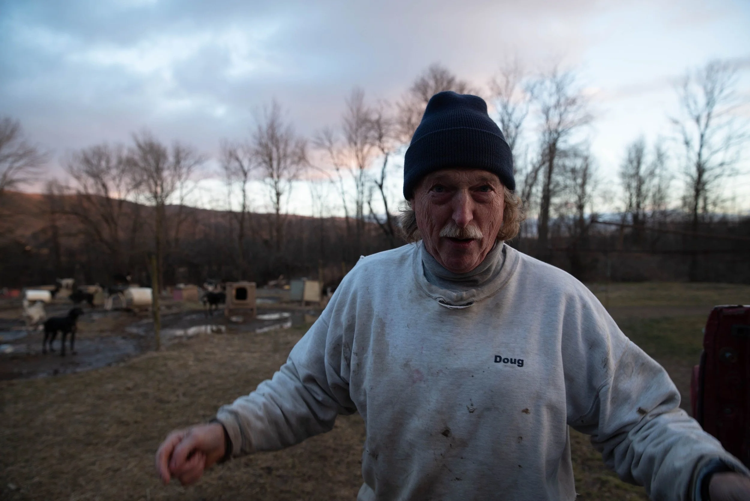 On screen: A dog-sledding dairy farmer loses it all, races back ...