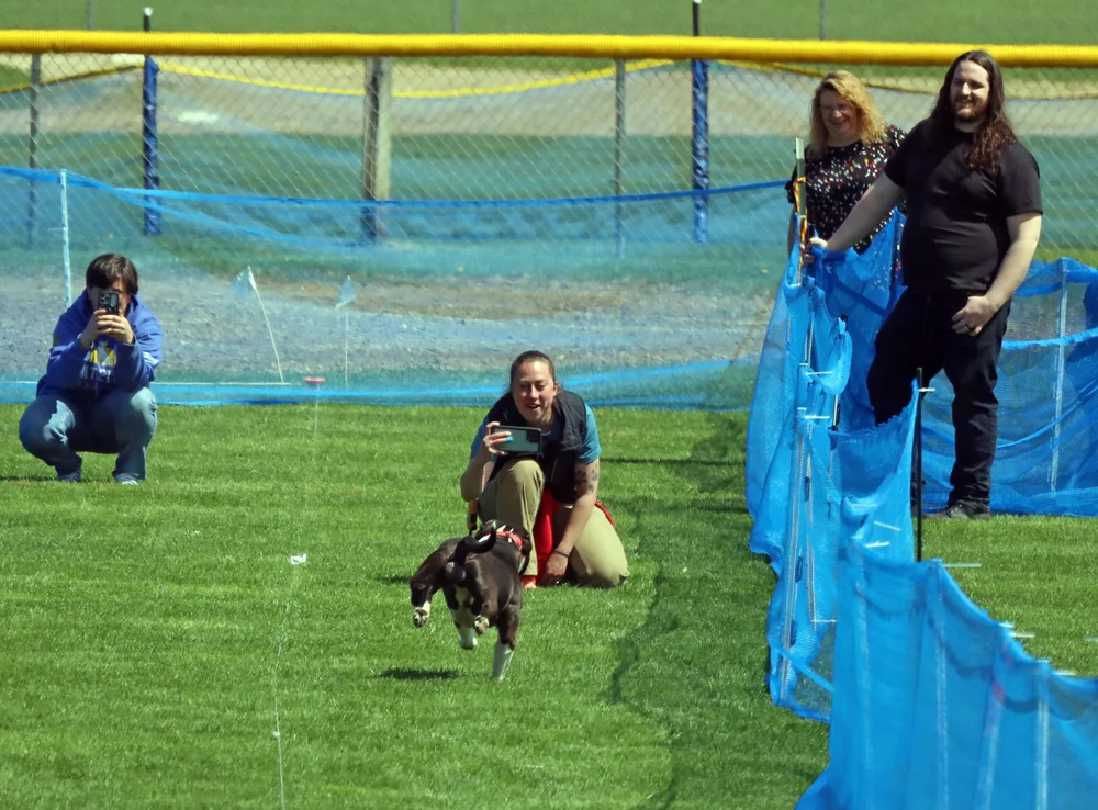 A day at the park: Local dogs try the Fast CAT — Waterbury Roundabout