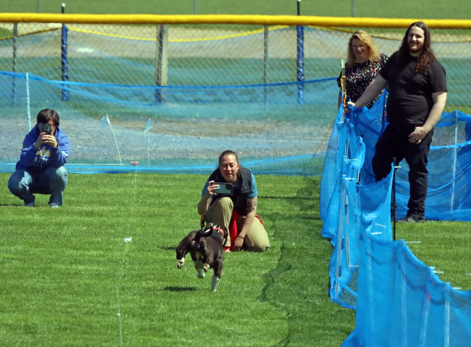 A day at the park: Local dogs try the Fast CAT — Waterbury Roundabout
