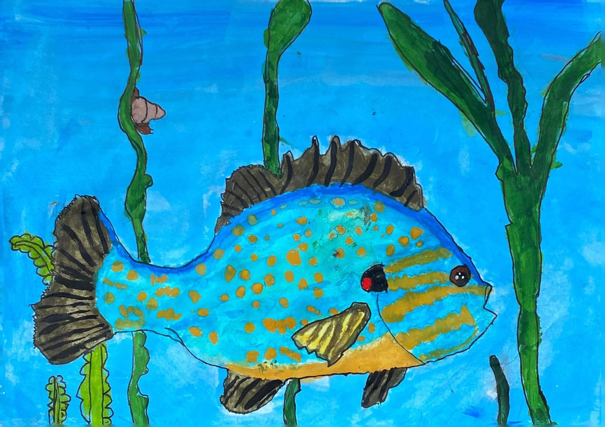Fish & Wildlife News — Waterbury Roundabout