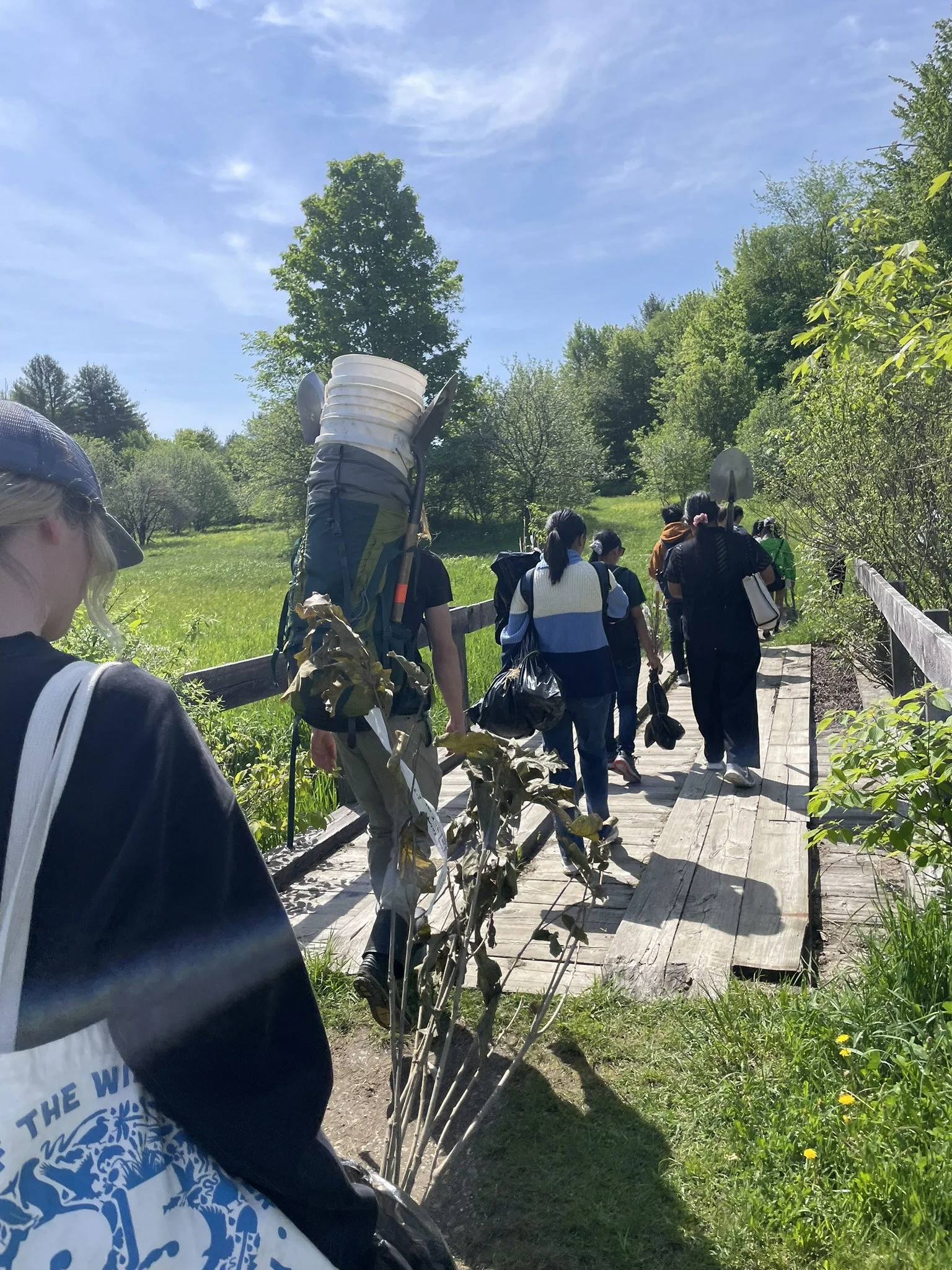 Tree planting aims to combat Thatcher Book erosion at Hope Davey Park ...