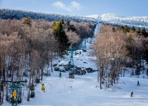 Mad River Glen gets a chance to buy 1,100 acres — Waterbury Roundabout